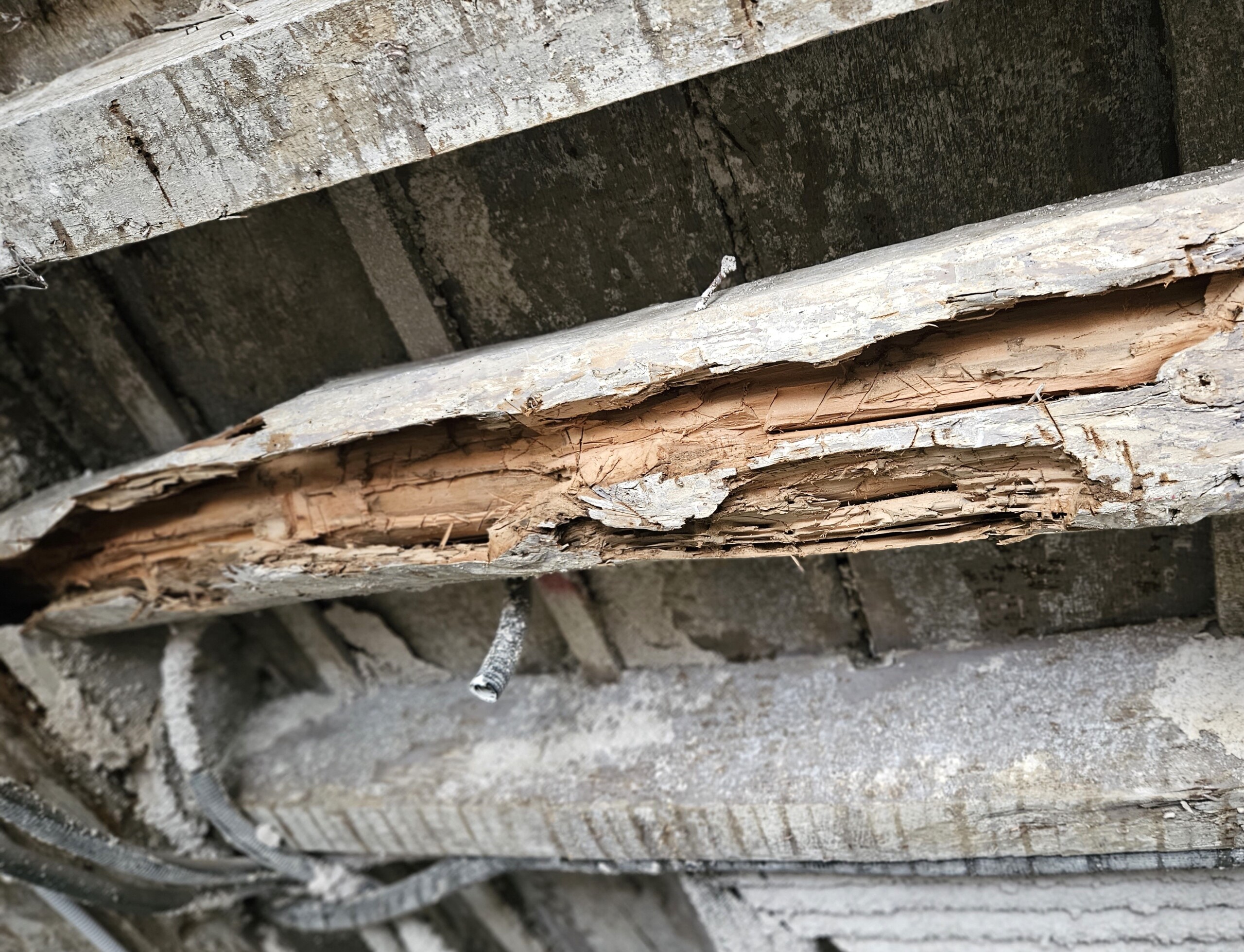 DURABILIDAD DE LA MADERA - Sanite