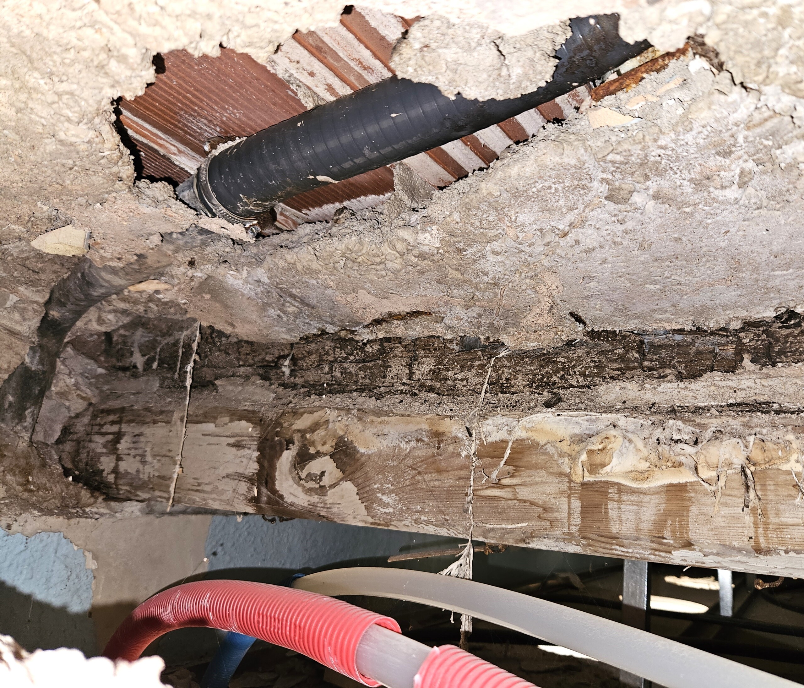 PLAGAS Y PATOLOGÍAS CONSTRUCTIVAS - Sanite