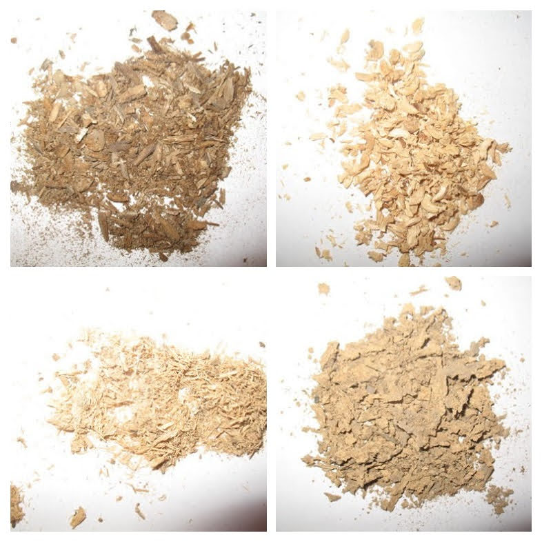 IDENTIFICAR LOS XILÓFAGOS A TRAVÉS DEL SERRÍN - Sanite