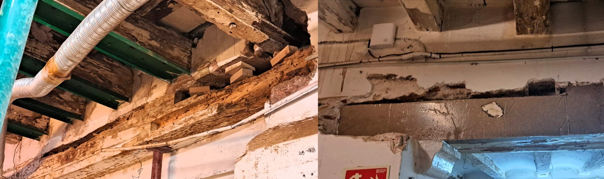 RECUPERANDO UNA JÁCENA - Sanite